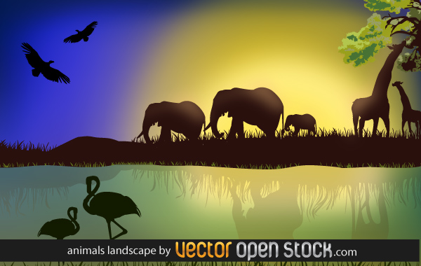 Vectores De Animales Para Descargar Frogx Three