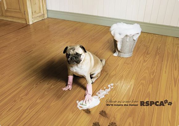 30 Imagenes graciosas de publicidad con perros - Frogx Three