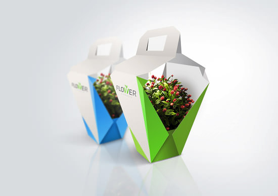 30 Imágenes de empaques creativos para inspirarte - Frogx Three