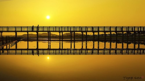 Hermosas fotografías por Tiger Seo - Frogx Three