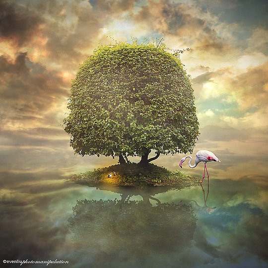 Increíbles fotografías manipuladas por Even Liu - Frogx Three