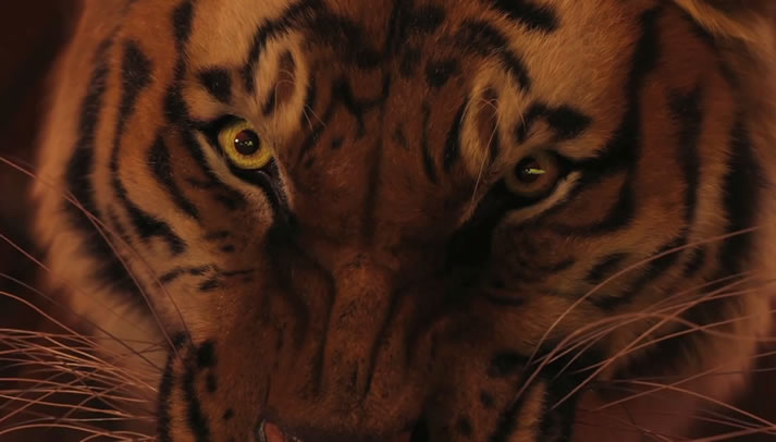 Life after PI, un documental sobre la muerte de los estudios VFX en ...