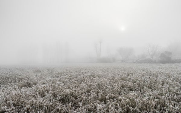 Silver Morning, hermosas imágenes de una mañana de ... - Frogx Three