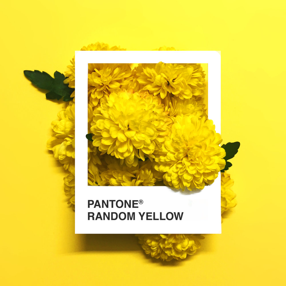 Pantone Flowers, un proyecto de color inspirado en flores - Diseño