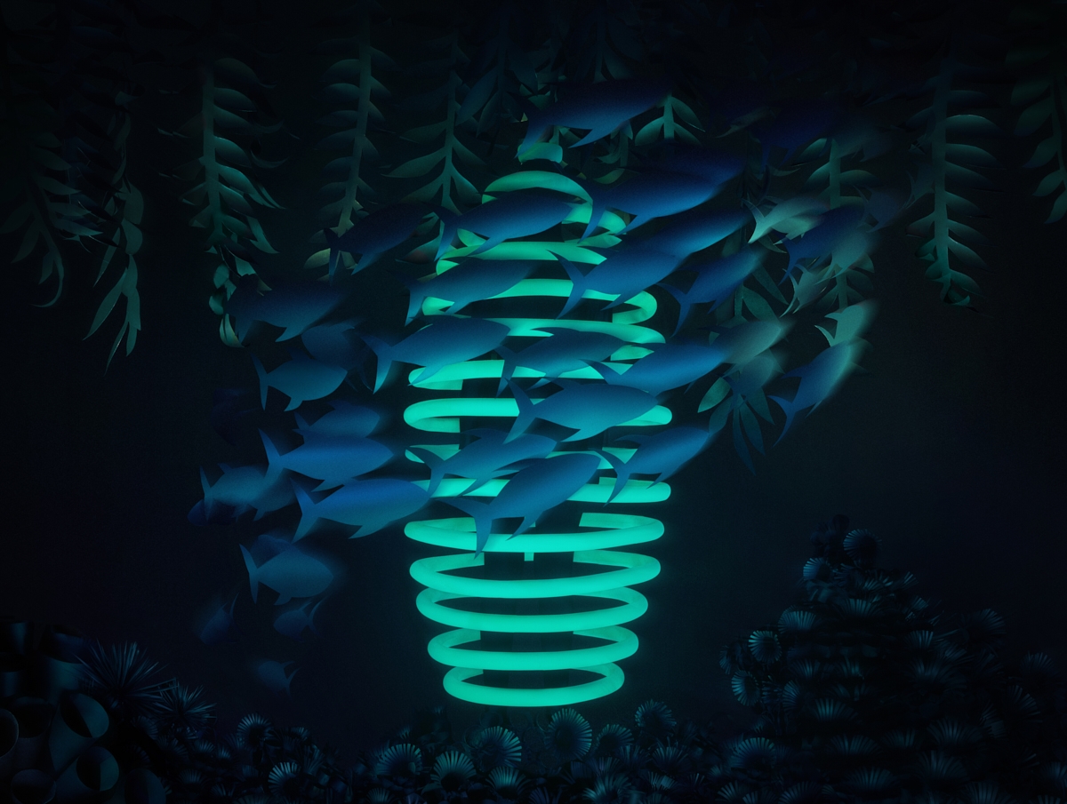 Living Lights of the Ocean, fotografías de un mundo subacuático ...