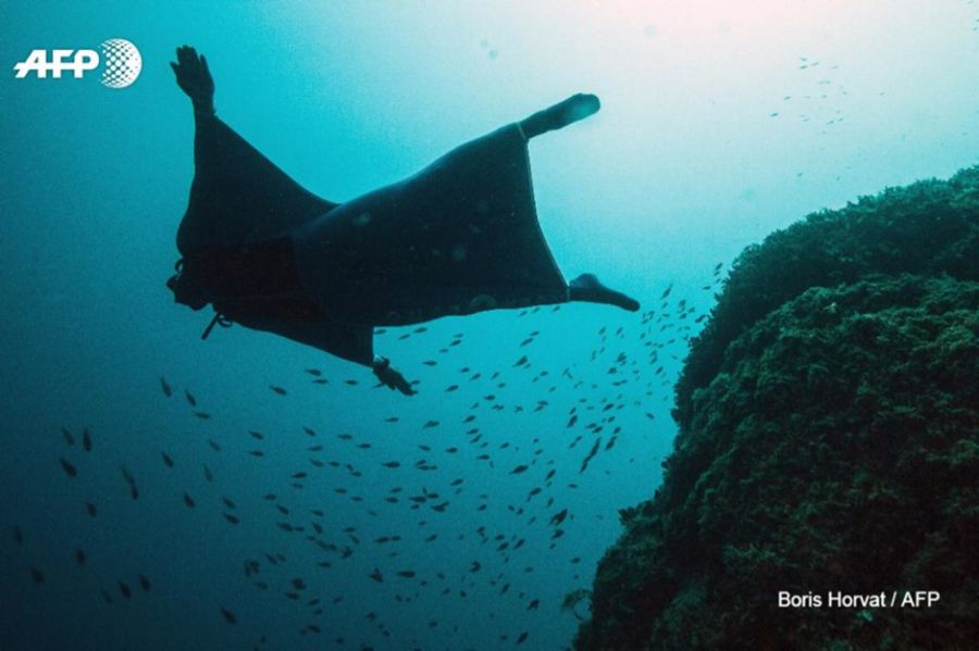 Fotografías más memorables del 2017 según la AFP - Frogx Three