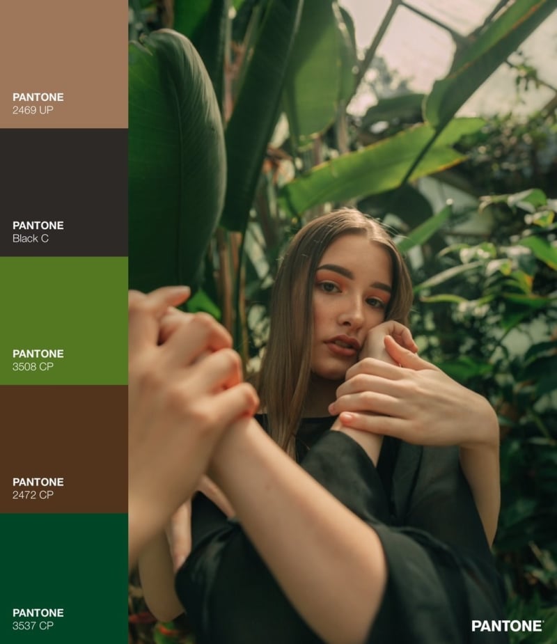 #PantoneChallenge, un desafió donde fotógrafos identifican los colores ...