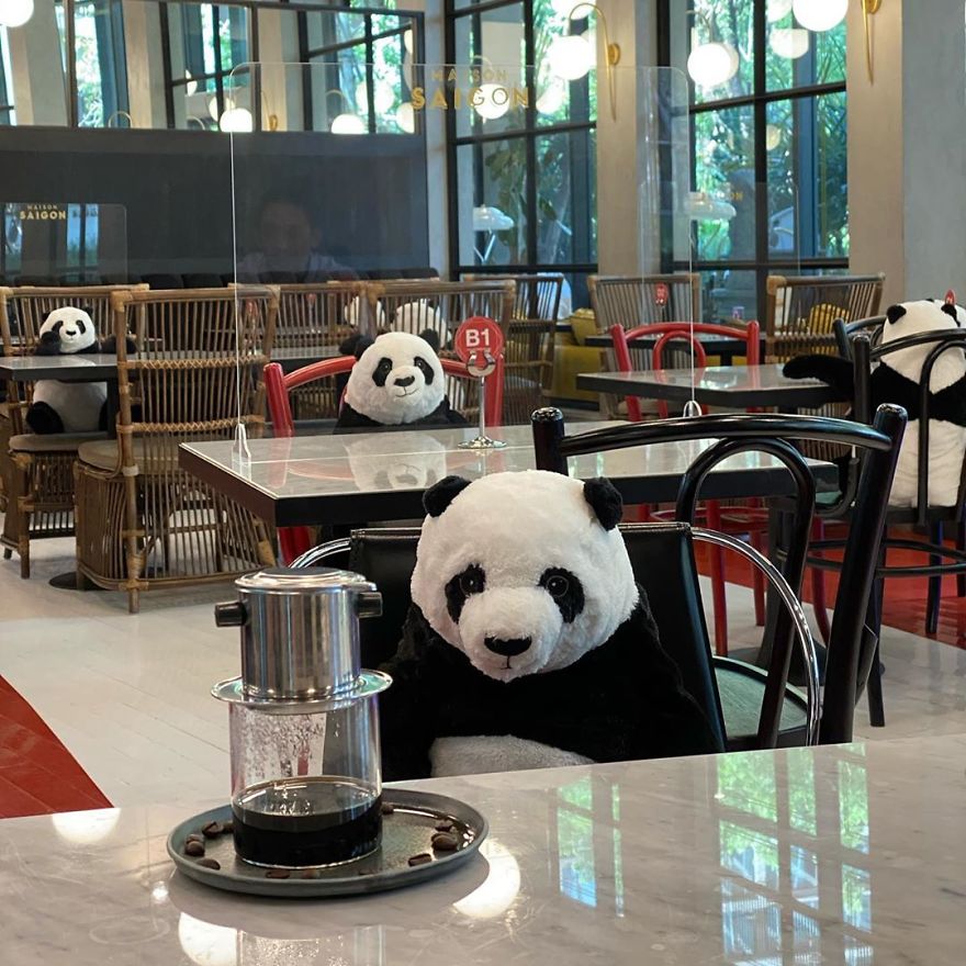 Restaurante utiliza osos panda para hacer respetar la... - Frogx Three