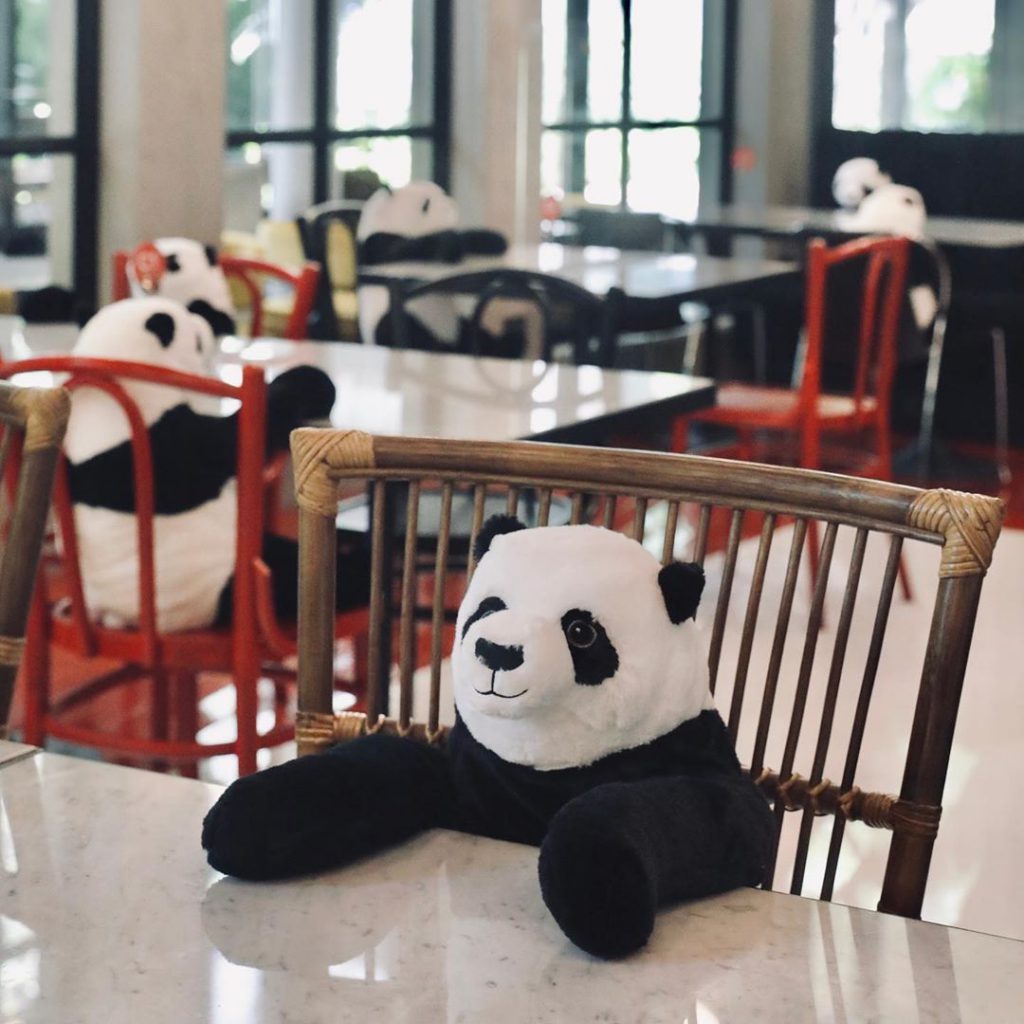Restaurante utiliza osos panda para hacer respetar la sana distancia ...